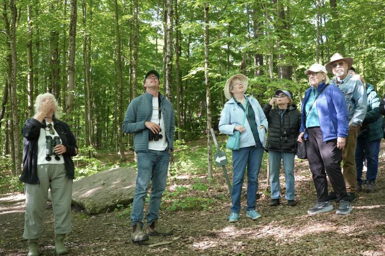 Weekly Bird Walks with Ben Nickley 5/8 | Berkshire Botanical