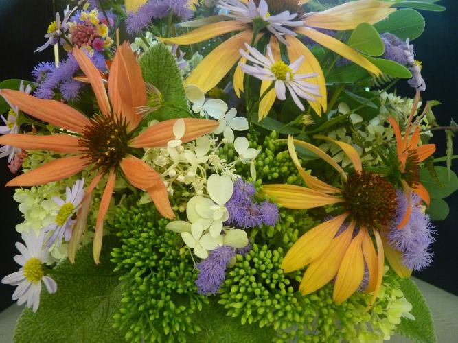 The Grow Show | Berkshire Botanical