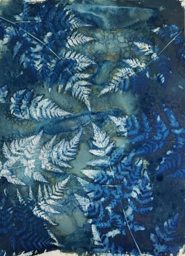 Botanical Cyanotypes on Fabric | Berkshire Botanical