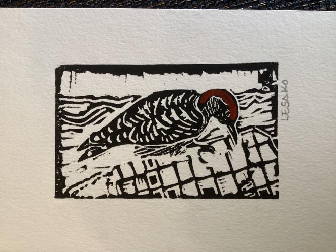 Block Printing | Berkshire Botanical