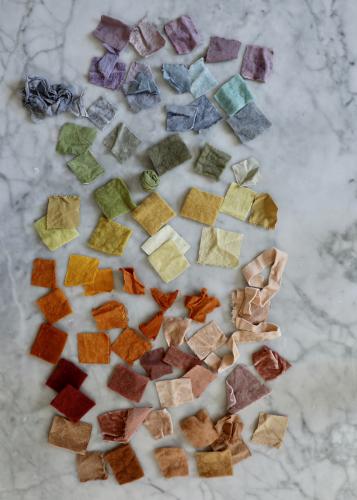 Botanical Dyeing Intensive | Berkshire Botanical