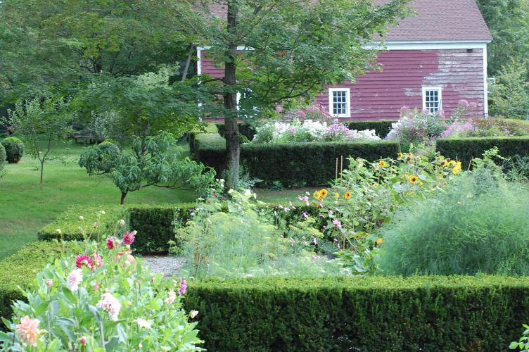 Cut Flower Farm Field Study | Berkshire Botanical