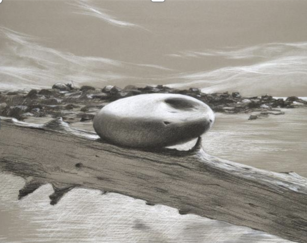 Imagining and Observing Nature: Drawing | Berkshire Botanical