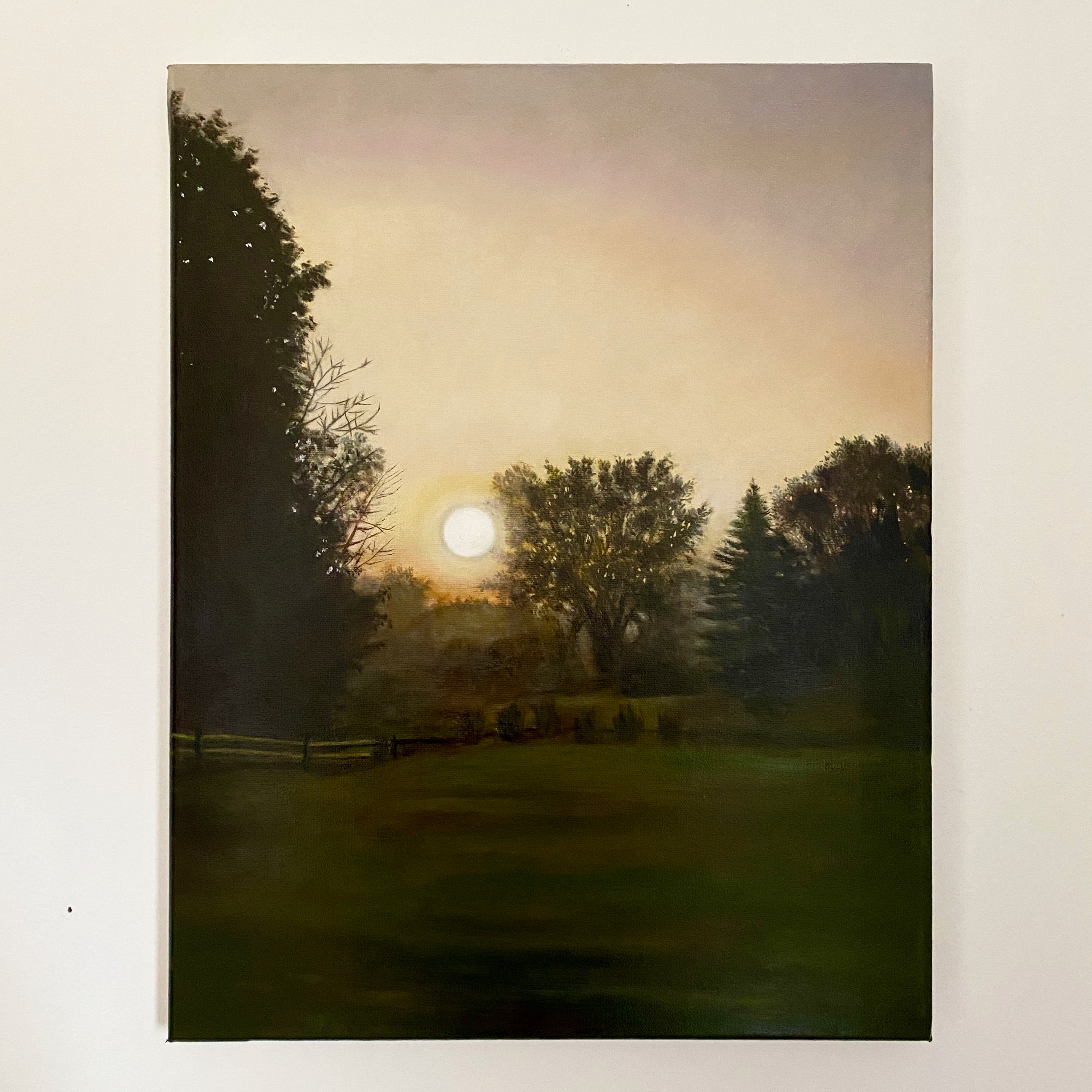 Unborn Sun: The Paintings of John Gordon Gauld | Berkshire Botanical