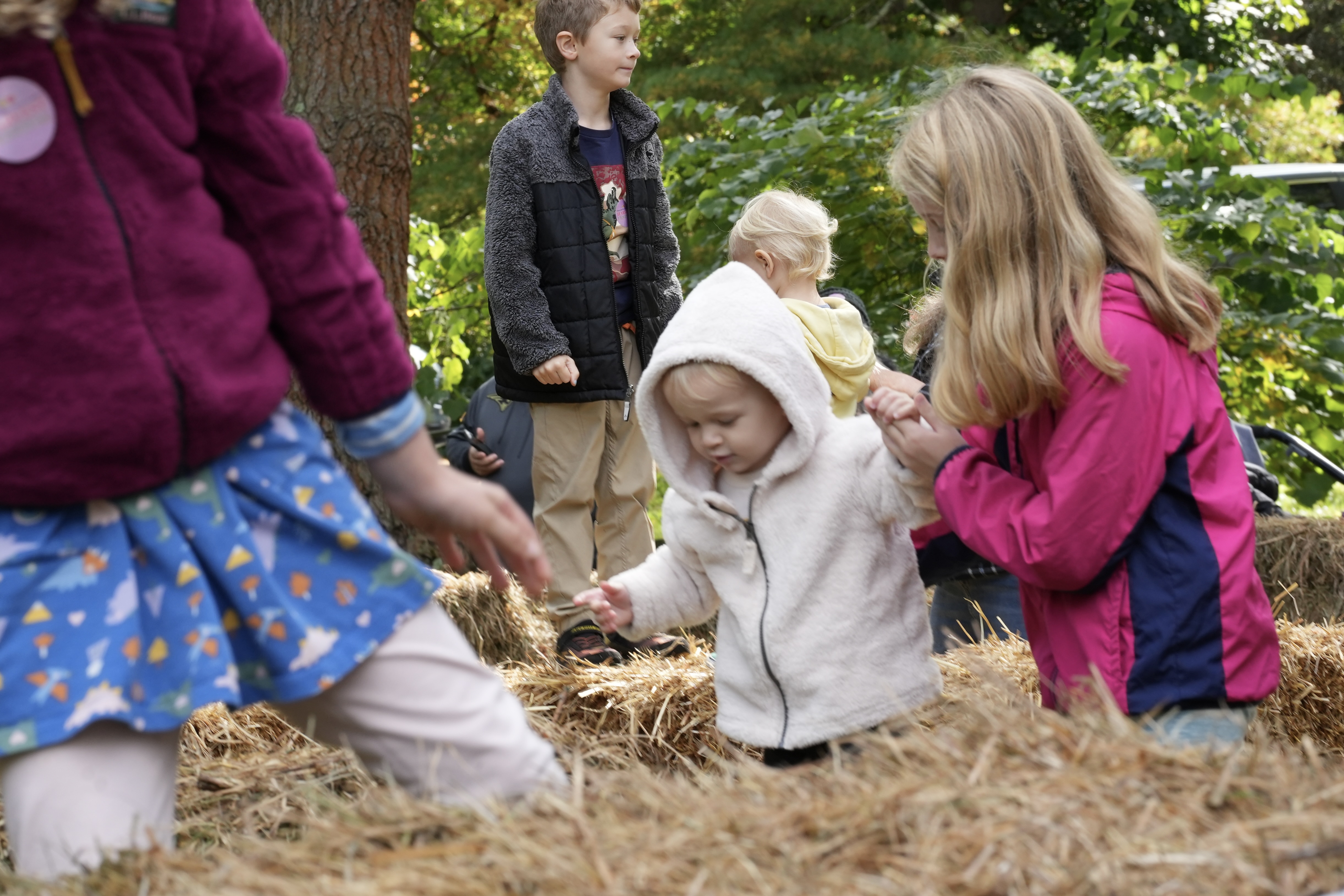 Harvest Festival 2023: Thank You, Everyone! | Berkshire Botanical