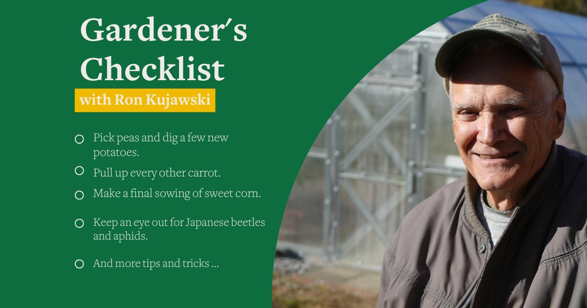 Gardeners Checklist: Here Is What to Do In Late June and Early July ...