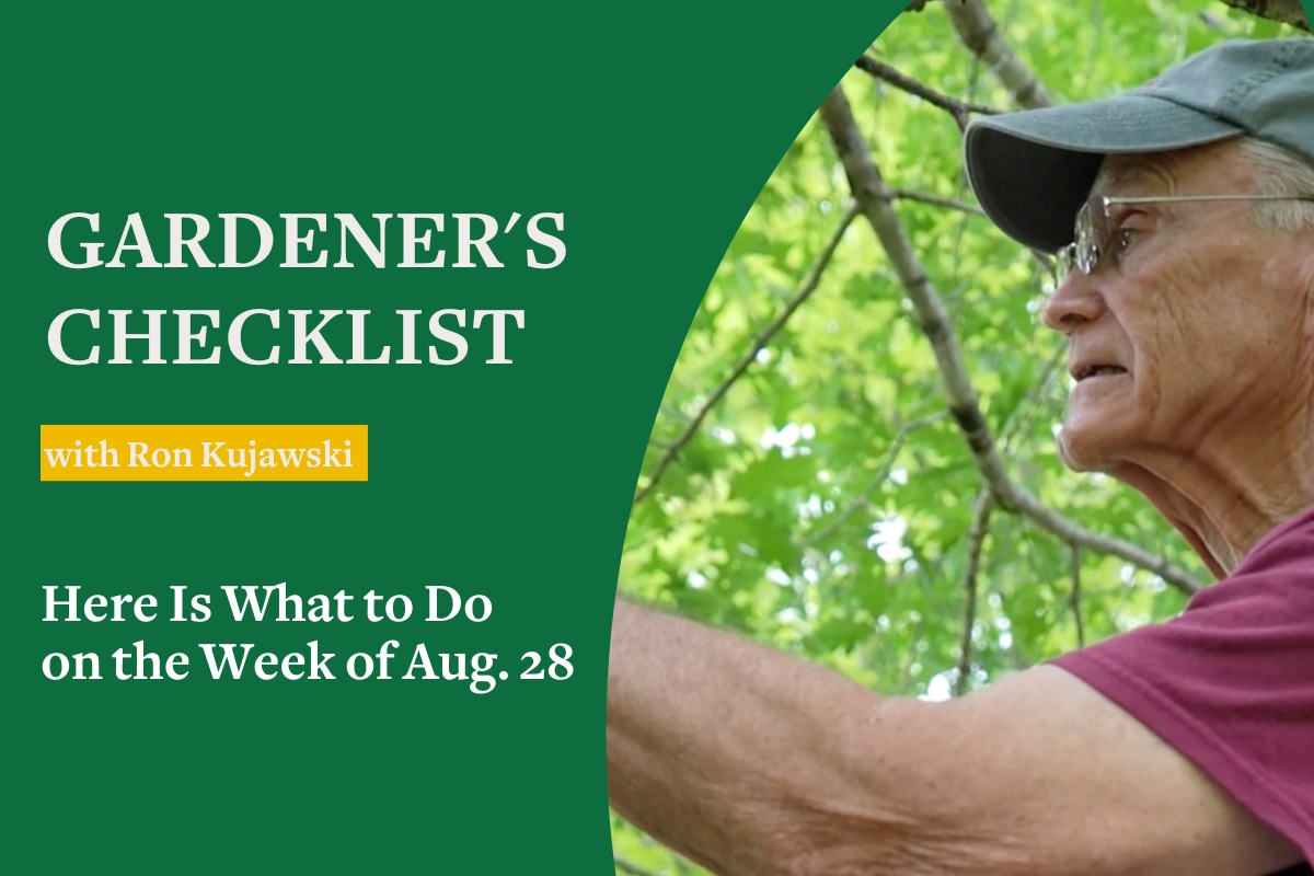 Gardeners Checklist: Here Is What to Do on the Week of Aug. 28 ...