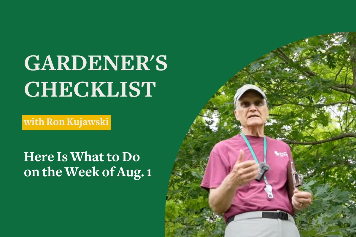 Gardeners Checklist: Here Is What to Do on the Week of August 1 ...