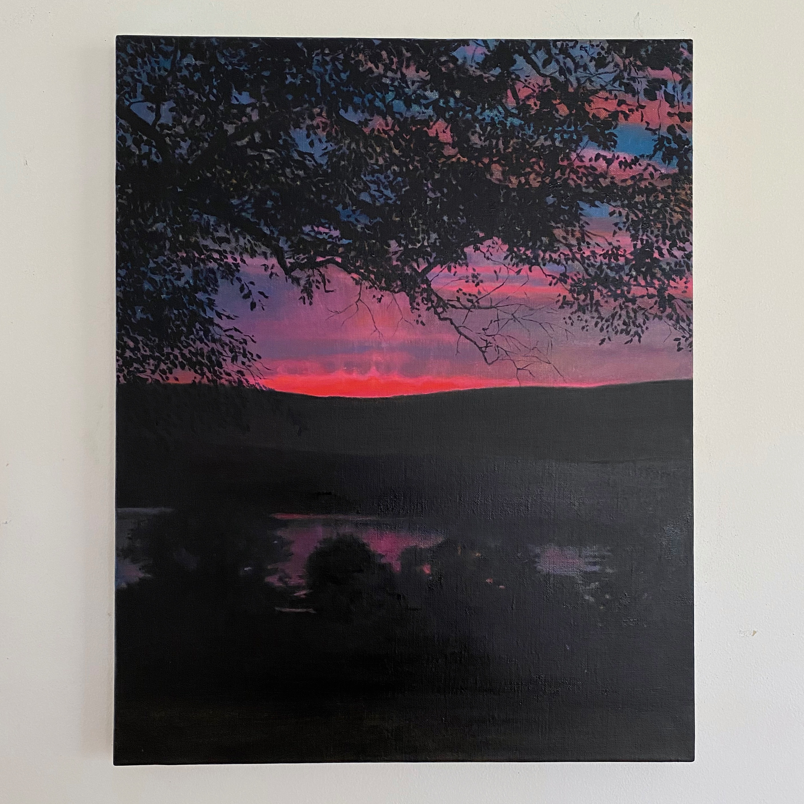 Unborn Sun: The Paintings of John Gordon Gauld | Berkshire Botanical