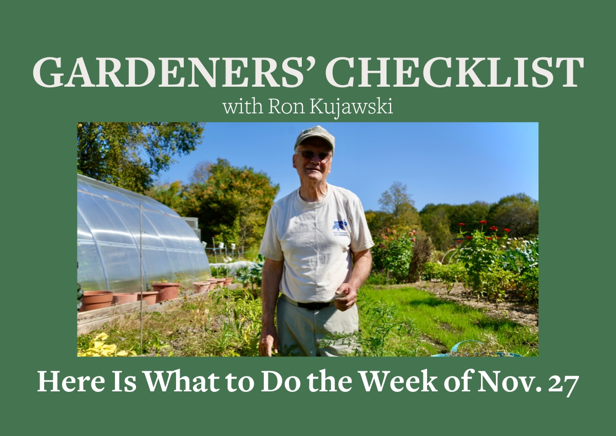 Gardeners Checklist: Here's What to Do on the Week of Nov. 27 ...