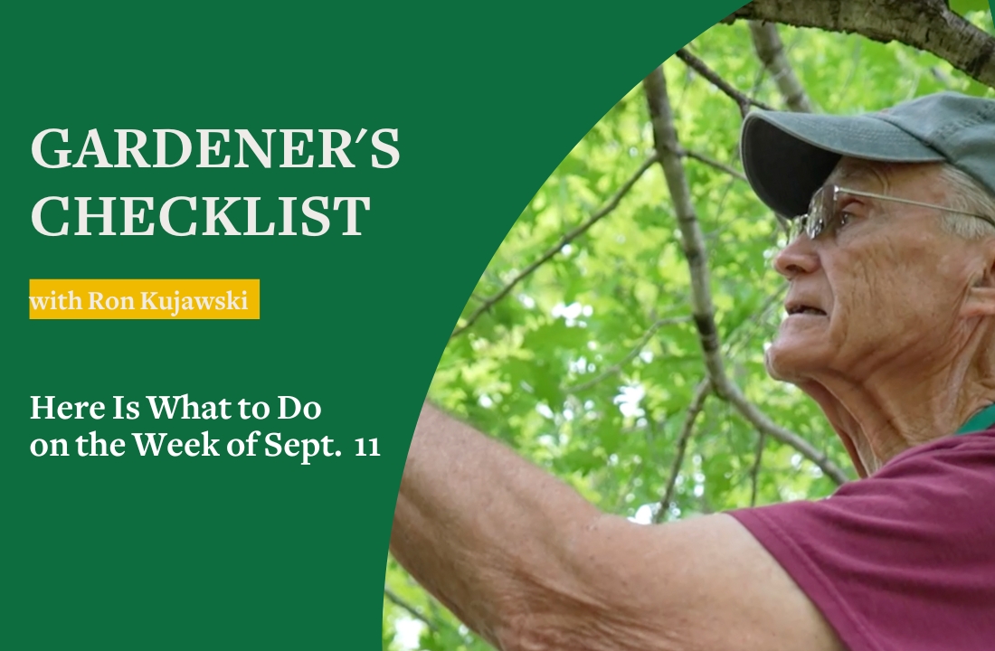 Gardeners Checklist: Here Is What to Do on the Week of Sept. 11 ...