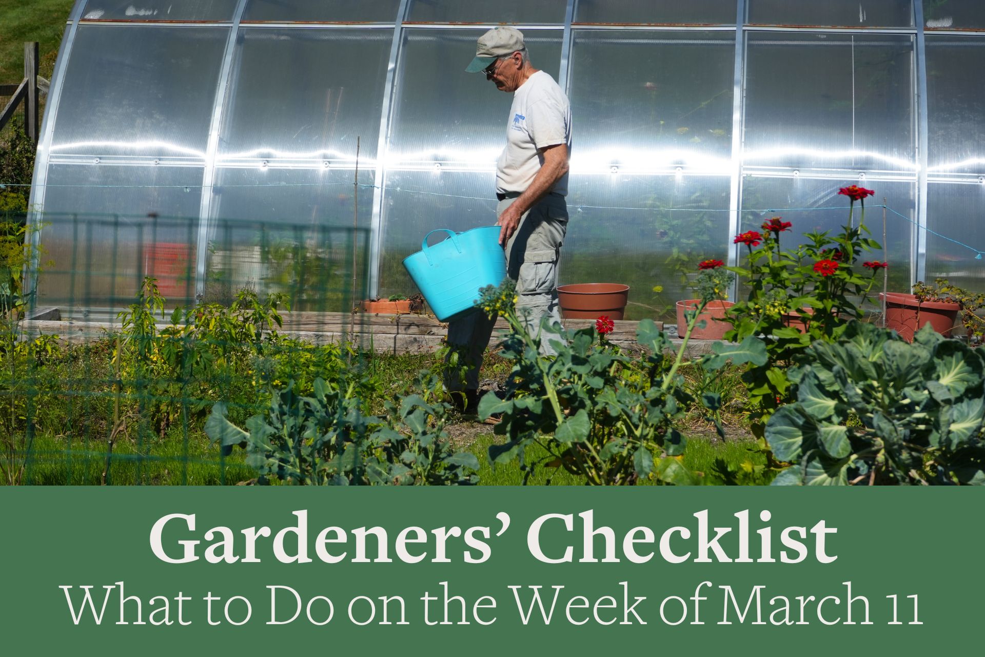 Gardeners Checklist: Here Is What to Do on the Week of March 11 ...
