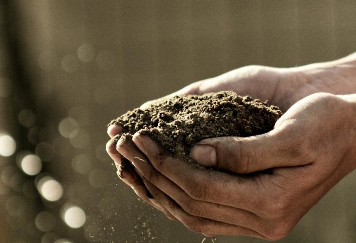 Get the Dirt on Soil | Berkshire Botanical