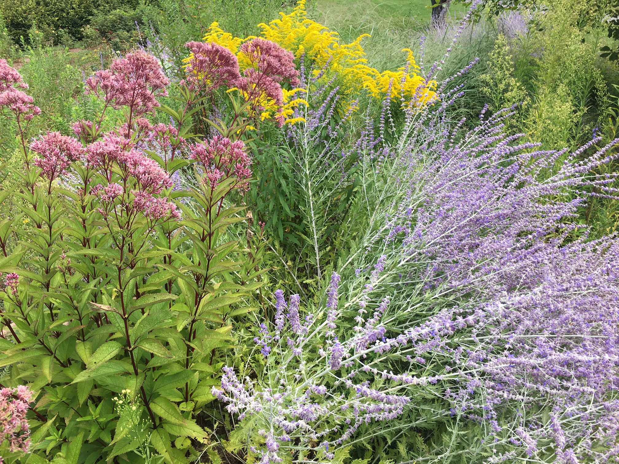 Planting Design Part 1: Form and Texture in Planting Design | Berkshire ...