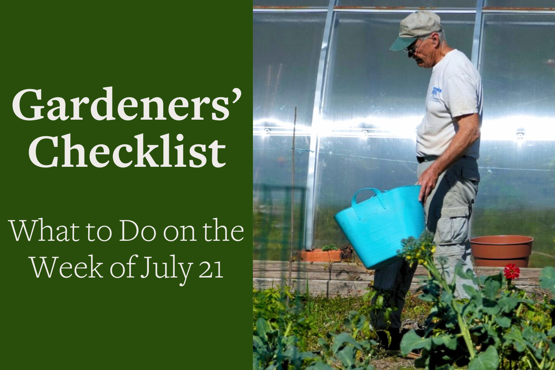 Gardeners Checklist: Here Is What To Do the Week of July 21 | Berkshire ...