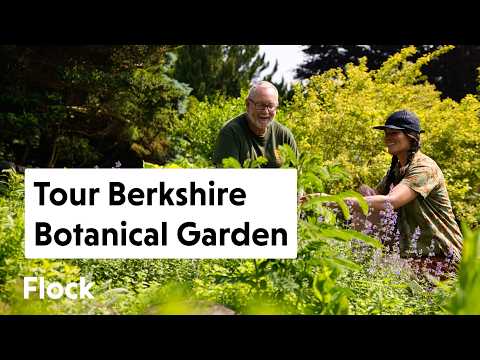 A Tour of Berkshire Botanical Garden | Berkshire Botanical