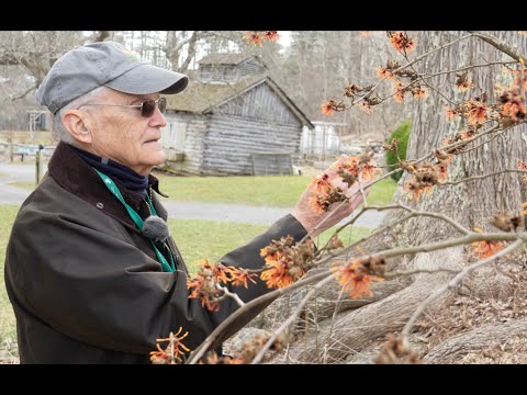 Dear Gardeners, It's Spring! | Berkshire Botanical